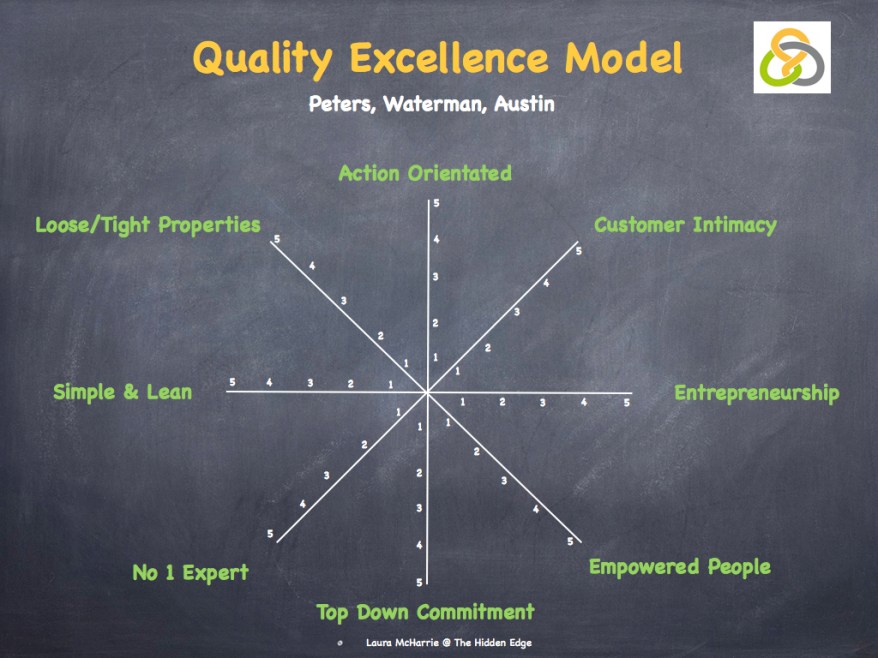 Quality Excellence Model – Laura McHarrie @ The Hidden Edge
