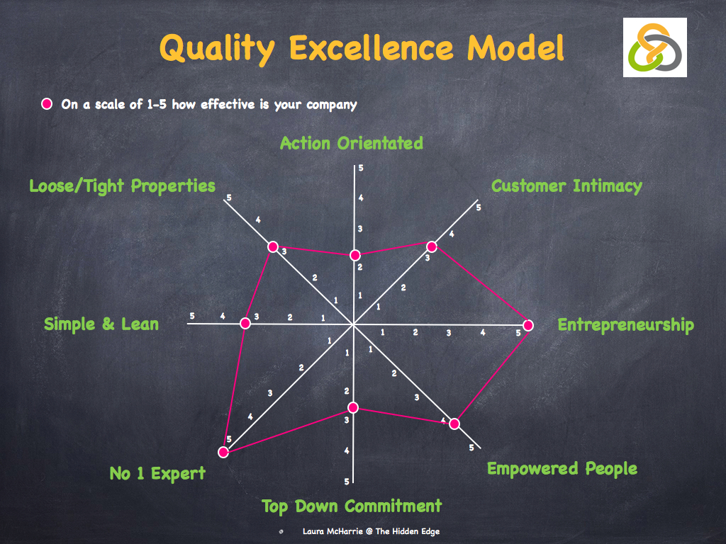 Quality Excellence Model – Laura McHarrie @ The Hidden Edge